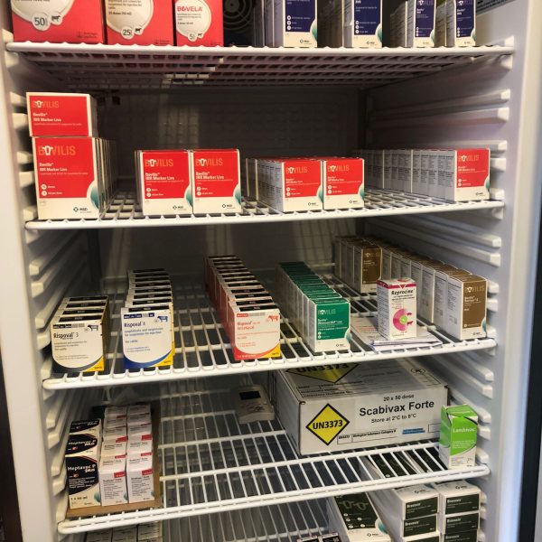 What We Do - Nithsdale Farm Vets